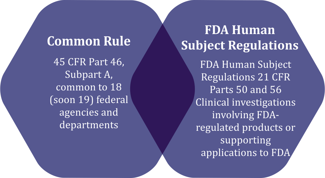 The Common Rule Changes And Update Key Solutions Blog the-common-rule-changes-and-update-key-solutions-blog